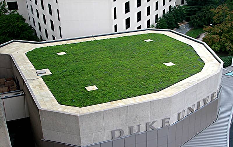 Duke University Medical Center